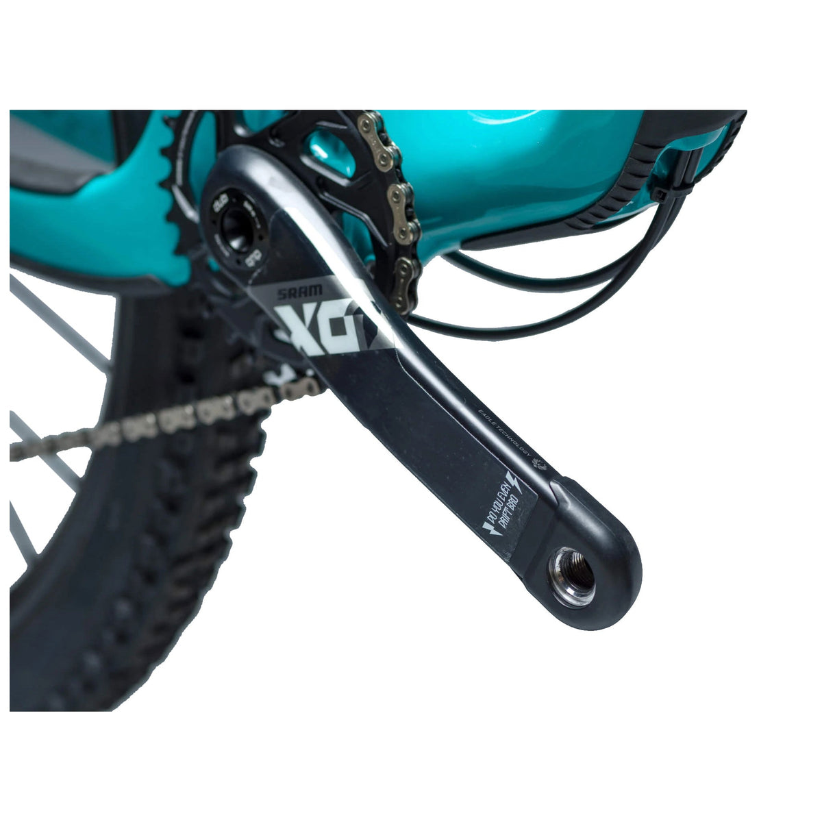 DYEDBRO Crank Guard - Clear - 175mm – The Lost Co.